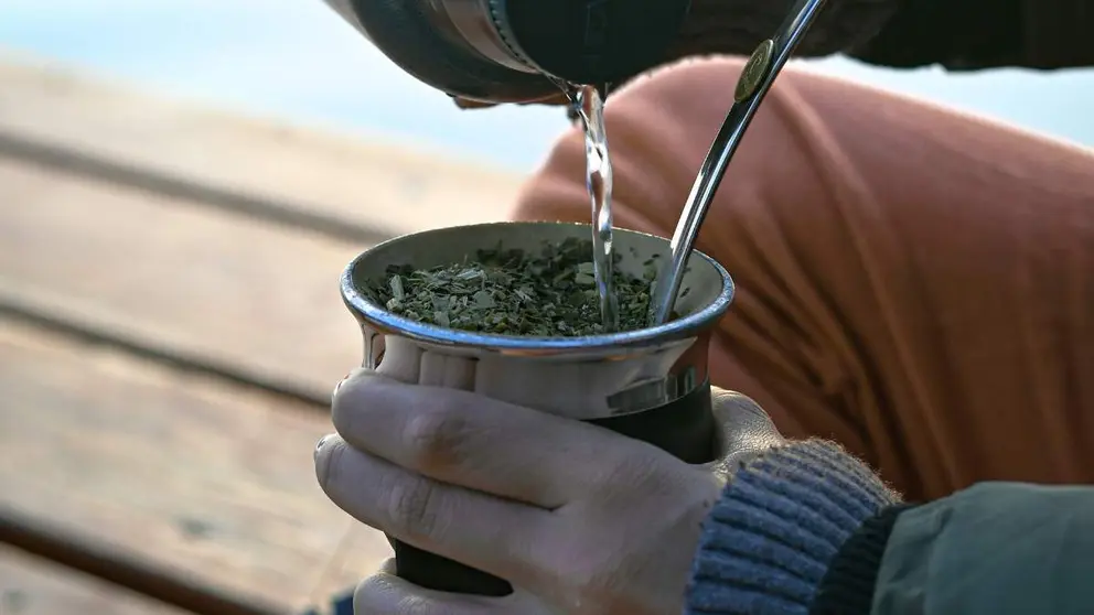 El mate imperial: guía definitiva para curarlo y disfrutar del mejor mate